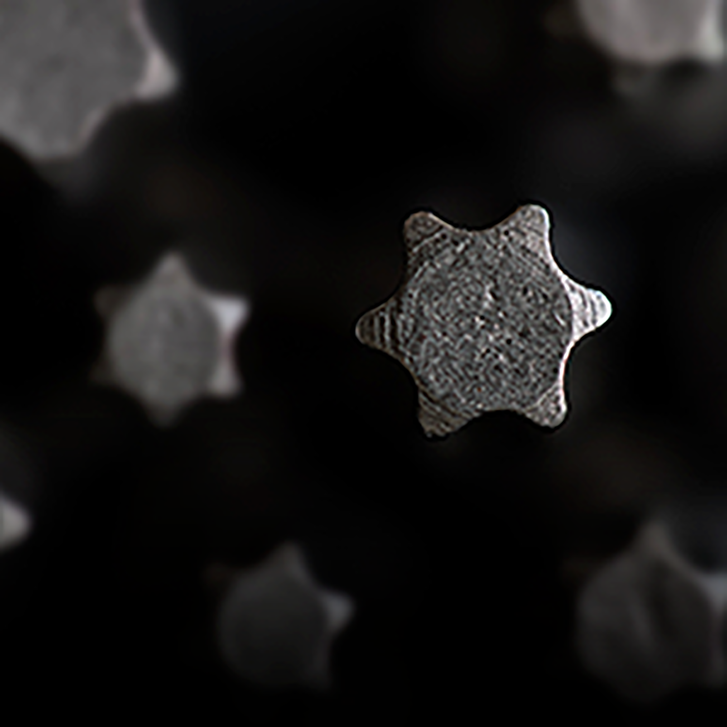 2021 Annual Construction Law Update | Wilson Vukelich LLP