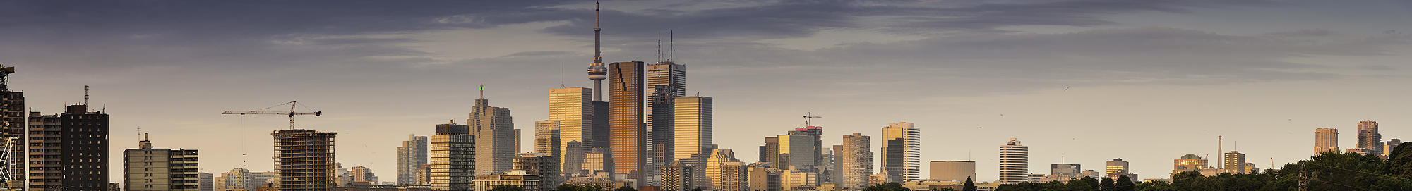 Our Brochure | Wilson Vukelich LLP